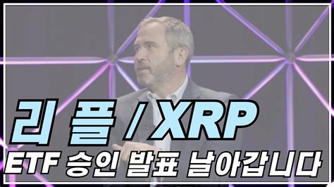 리플 Xrp 미친듯이 쏠 껍니다 Youtube