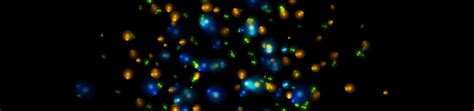 Colorful Glowing Bokeh Particles Abstract Background 27445781 Vector