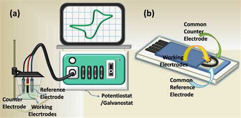 3 A Three Electrode Electrochemical System B Screen Printed Download Scientific Diagram