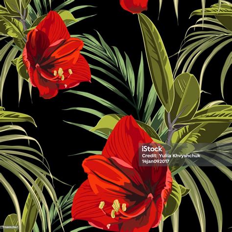 원활한 패턴 붉은 백합 열대 선인장 식물과 검은 배경에 야자수 잎 0명에 대한 스톡 벡터 아트 및 기타 이미지 0명 꽃 식물 나무 Istock