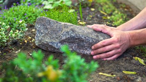 Tips To Prepare Your Soil Before Spring Planting