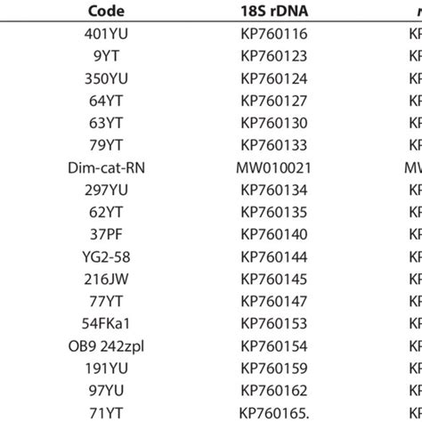 Accession Numbers Of Onchocercidae Sequences Of 18s Rdna Myohc And