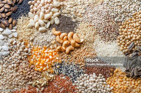 건강하거나 깨끗한 식품 성분 또는 농산물 컨셉을 위해 다양한 종류의 건조 유기농 시리얼과 곡물 씨앗 더미 0명에 대한 스톡 사진 및 기타 이미지 Istock