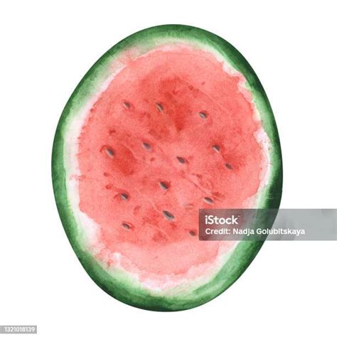 흰색 배경에 격리 된 수박 슬라이스 수채화 여름 과일 클립 아트 N손으로 그린 하프 수박 일러스트레이션 당신의 디자인을위한 열대 템플릿 음식 개체 타원형 모양 의 수박