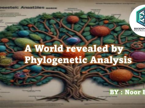 BioInfoQuant Provides Advanced Bioinformatics CADD MD Simulations And