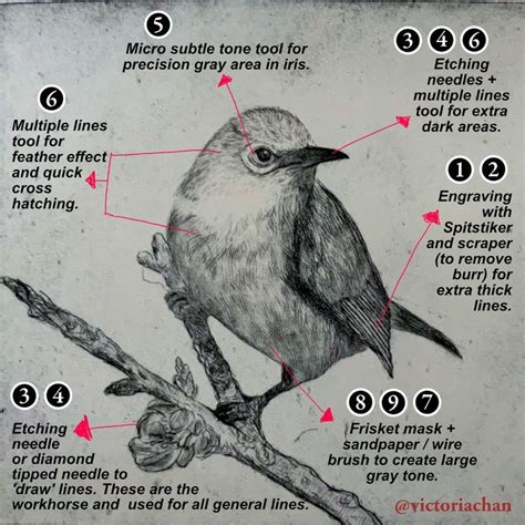 Drypoint Etching Artofit
