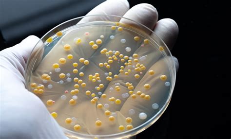 Fosfomycin Offers Alternative For Drug Resistant Prostatitis European Medical Journal