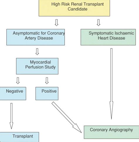 Proposed Algorithm For Cardiac Evaluation For Coronary Artery Disease Download Scientific