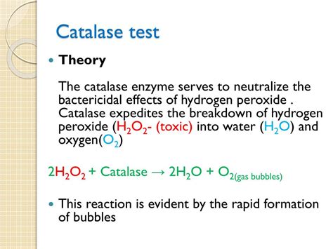 Ppt Ex 5 4 Catalase Test Powerpoint Presentation Free Download Id 2939256