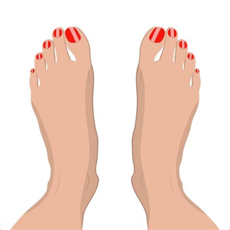 Feet Vector Art Icons And Graphics For Free Download