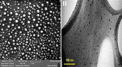 Scanning Electron Microscopy Sem A And Transmission Electron