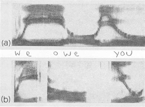 COGPSYCH EXAM Review Flashcards Quizlet