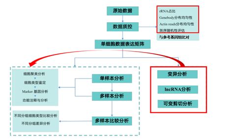 寻因生物科技有限公司 Seekonedd单细胞全序列转录组测序解决方案