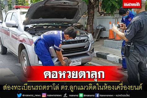 ข่าว Like สาระ คอหวยตาลุกวาว ส่องเลขทะเบียนรถตราโล่ตำรวจลูกแมวติดในห้องเครื่องยนต์