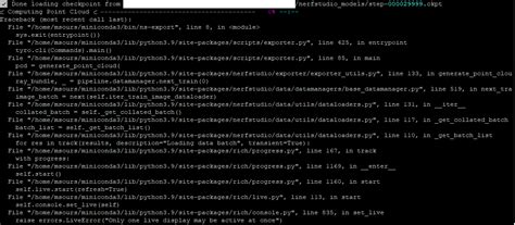 Export Point Cloud Error With Large Data Only One Live Display May Be