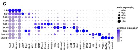 How Do I Increase The Minimum Dot Size In Seurats Dotplot Function · Issue 2297 · Satijalab