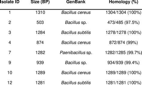 Genetic Identification Of The Isolated Bacilli The Table Presents The