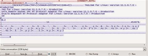 Oracle Listener 11107 Information Disclosure