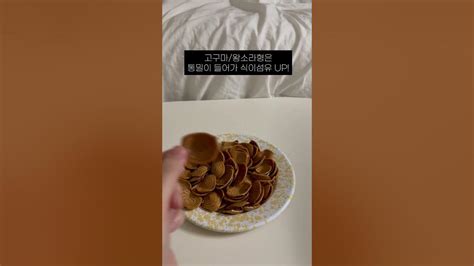추억의 과자 3종 고구마 오란다 소라과자 Heyroo통밀 고구마형 오란다 왕소라스낵 Youtube