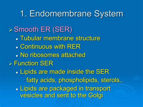 1 Cell Structure Function 1 Ppt Biological Sciences Science