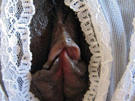 Beautiful Exotic Flower Porn Pic