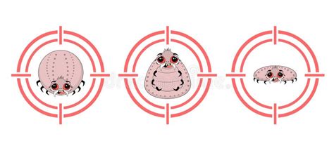 Tick Warning Sign Pest Control Ixodid Ticks Stock Vector Illustration Of Danger Flea