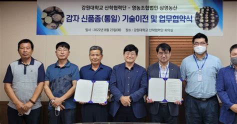 산학협력단 영농조합법인㈜ 삼영농산 감자 신품종 통일 기술이전 협약