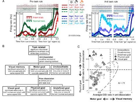 Visual Goal Representations Are Not Related To Visual Memory Encoding Download Scientific