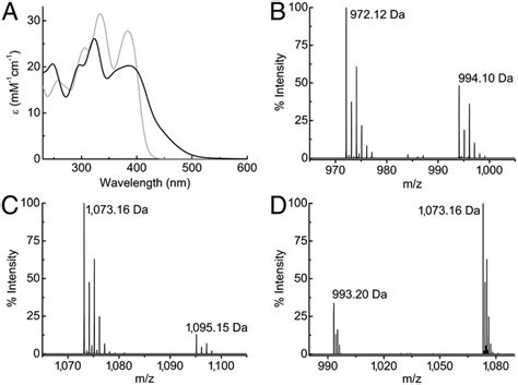 Absorption And Mass Spectra Of The Methylocystis Mbtins A Uvvisible