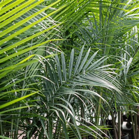 Five Fun Ways To Bring More Summer To Your Outdoor Spaces