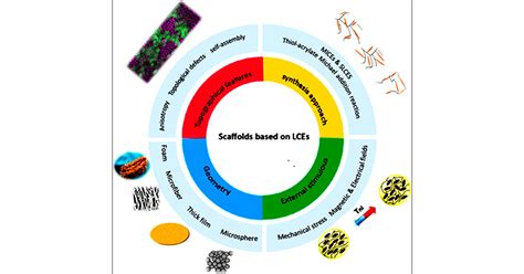 Performance Of Liquid Crystalline Elastomers On Biological Cell Response A Review Acs Applied