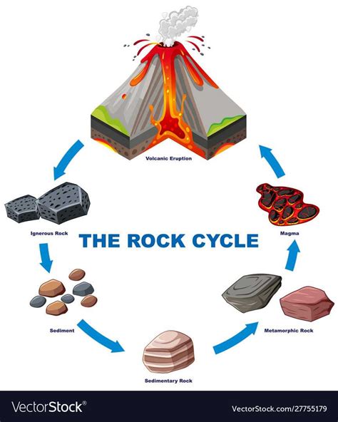 The Rock Cycle Understanding Geological Transformations