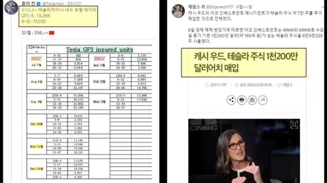 서학개미 테슬라 집중 매수 중 케시우드 테슬라 매수 중 금리인상 시기 테슬라 투자하세요 Youtube