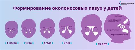 Синусит у детей причины симптомы методы диагностики и лечения