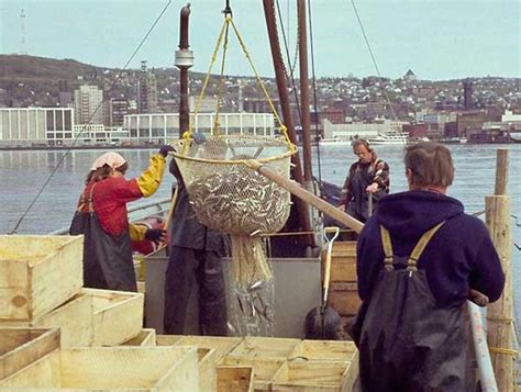 NonPoint Source Pollution Tutorial