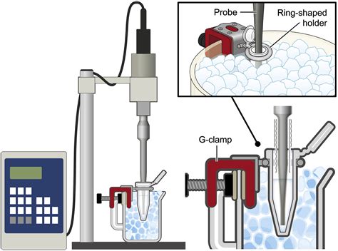 Cell Press Star Protocols