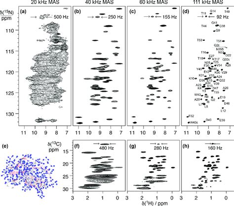 2d Amide 1 H− 15 N A−d And Methyl 1 H− 13 C F−h Correlation Spectra