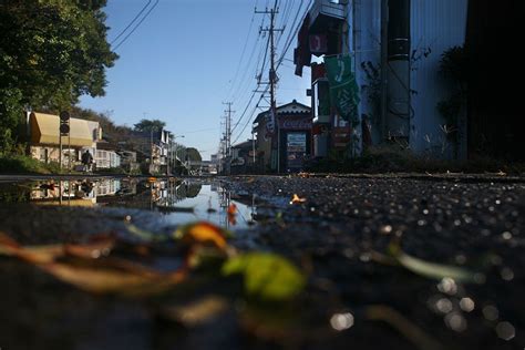 水たまり GANREF