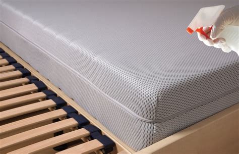 How To Clean Memory Foam A Detailed Guide Winter 2024