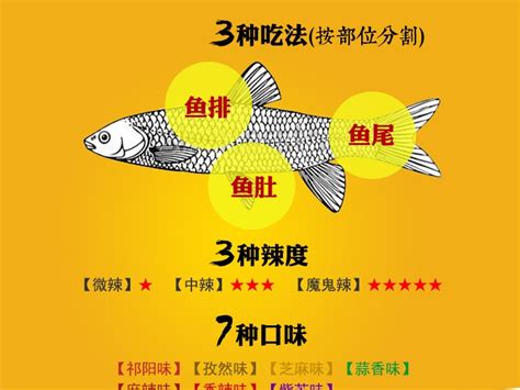 电商设计 曲米鱼详情页 cloud3213 站酷ZCOOL