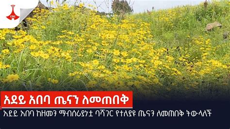 አደይ አበባ ከዘመን ማብሰሪያነቷ ባሻገር የተለያዩ ጤናን ለመጠበቅ ትውላለች Etv Ethiopia News Youtube