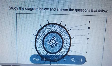 Solved 2 4 1 Draw A Line Graph On The Same Set Of Axes To Chegg Com