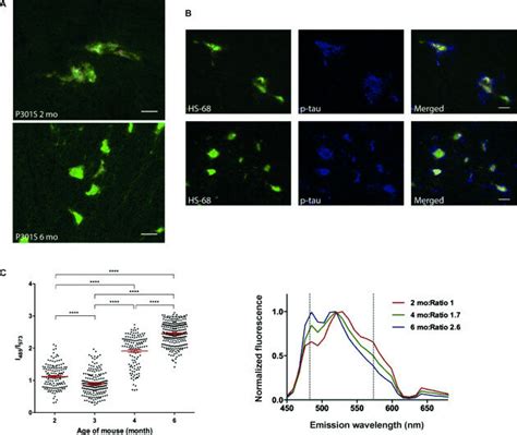 Fluorescence Images And Emission Signal Analysis Of Hs 68 When Binding