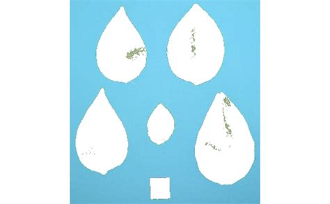 Image Segmentation Using K Means Clustering — Imagesegmentkmeans • Pliman