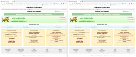 Nginx Nginx Csdn