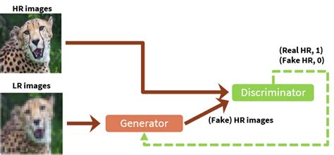 File Picture2 Png Psych 221 Image Systems Engineering
