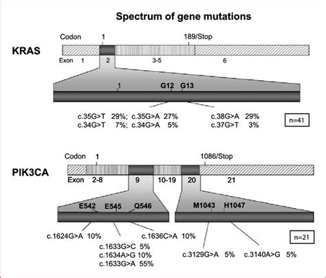 Spectrum Of Kras And Pik3ca Mutations In Colorectal Carcinomas In 68
