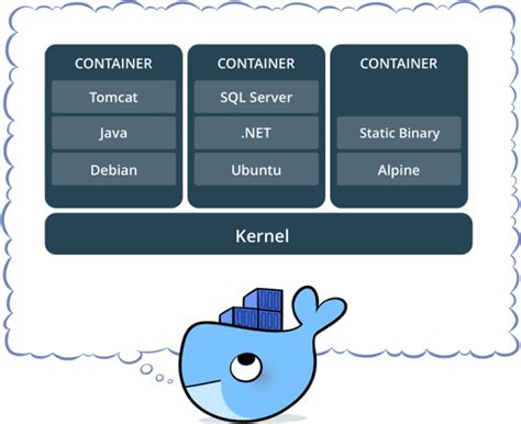 Docker CS Notes 面试笔记