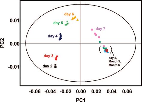 Pca Score Plot Derived From The 1 H Nmr Must And Wine Spectra For Each