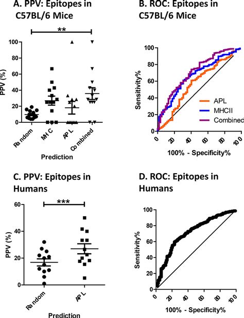 Cd4 T Cell Epitope Prediction By Combined Analysis Of Antigen Conformational Flexibility And